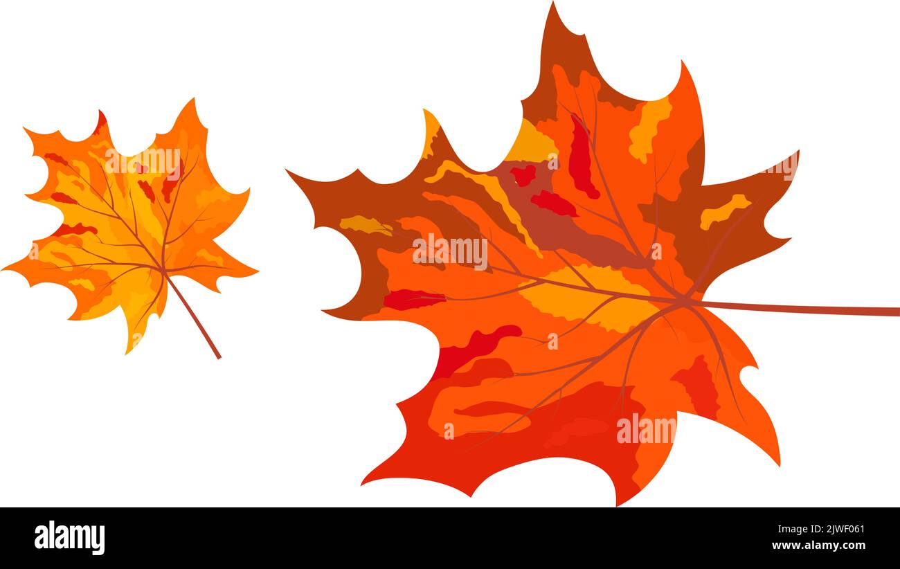 Autumn Element for creating great fall design. Vector illustration ...