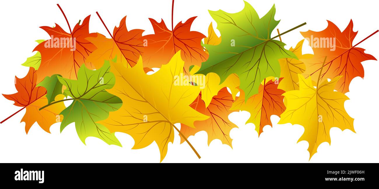 Autumn Element for creating great fall design. Vector illustration ...