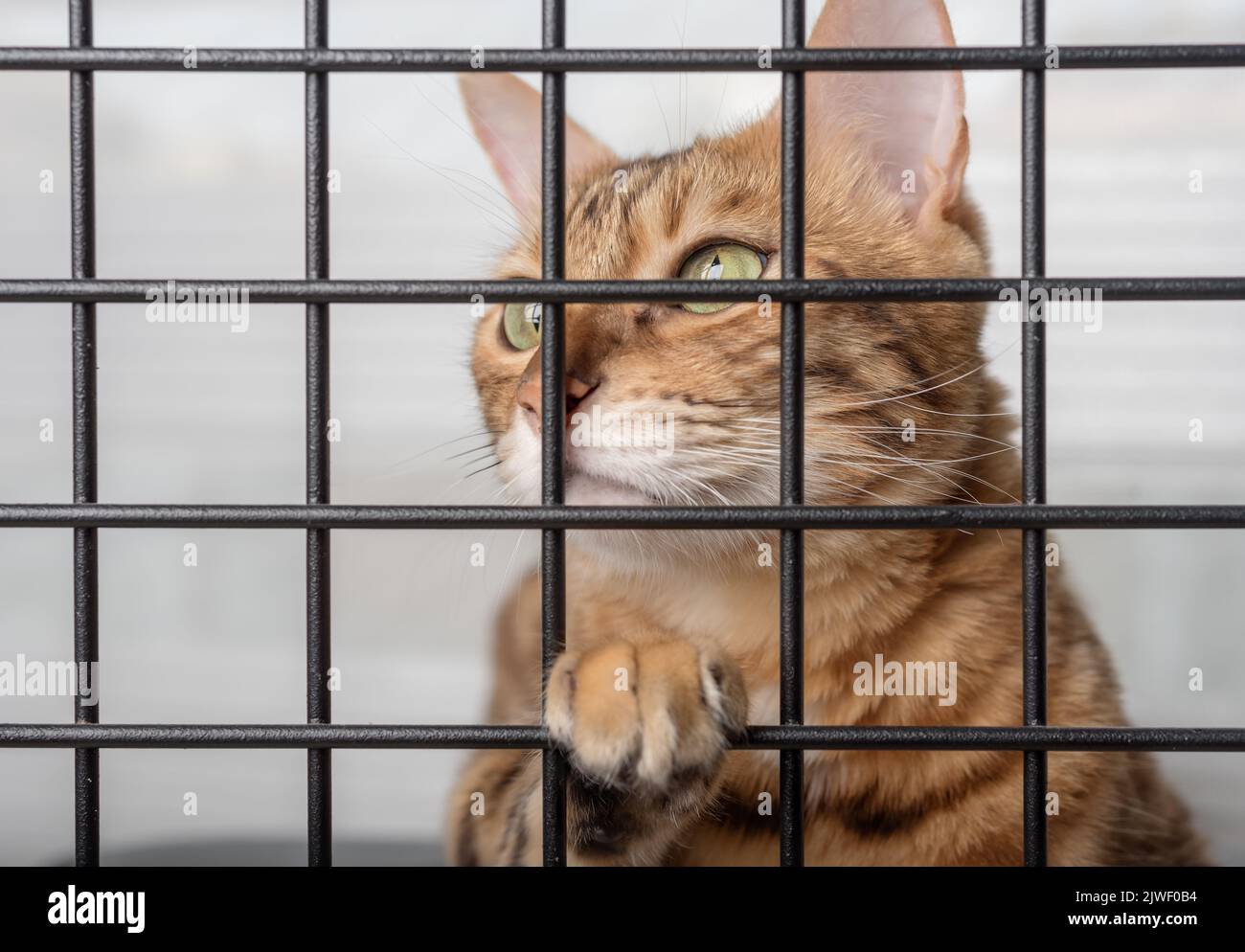 Visible despair hi-res stock photography and images - Alamy