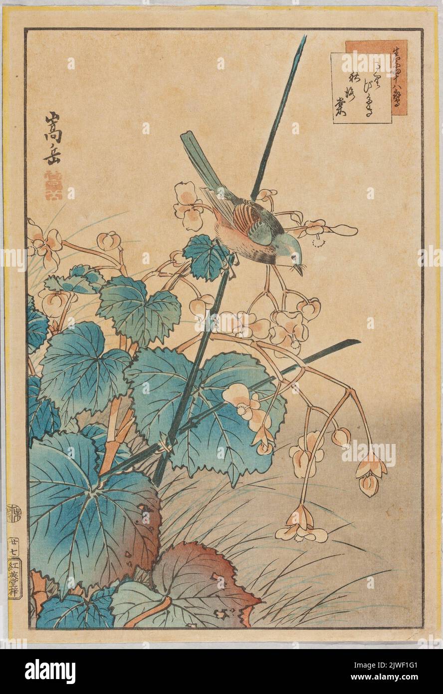 Bird and begonia; print from the series “Sho utsushi shinjuhachi taka ...