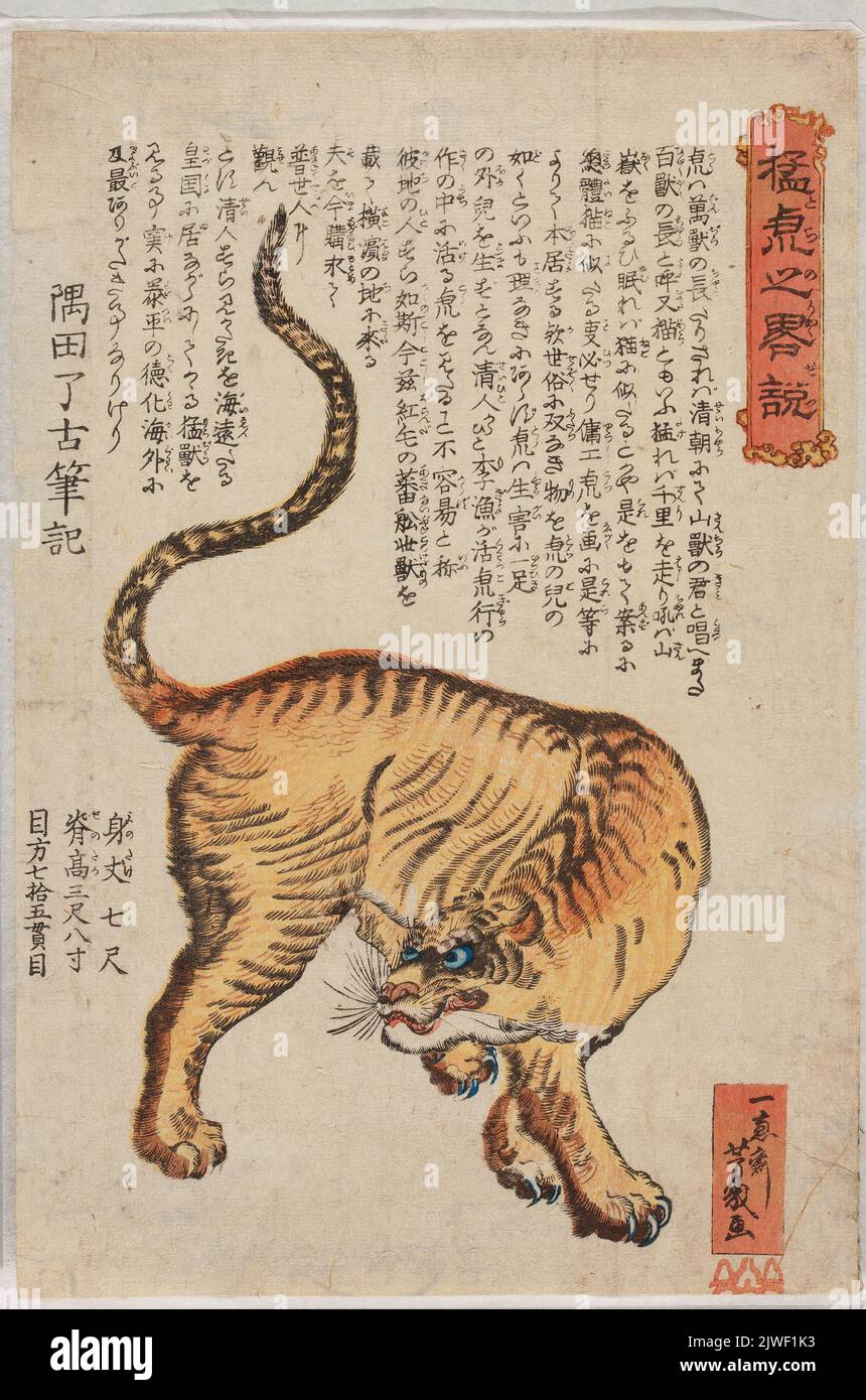 Exact likeness of a terrifying tiger (Mô tora no ryaku setsu). Utagawa ...