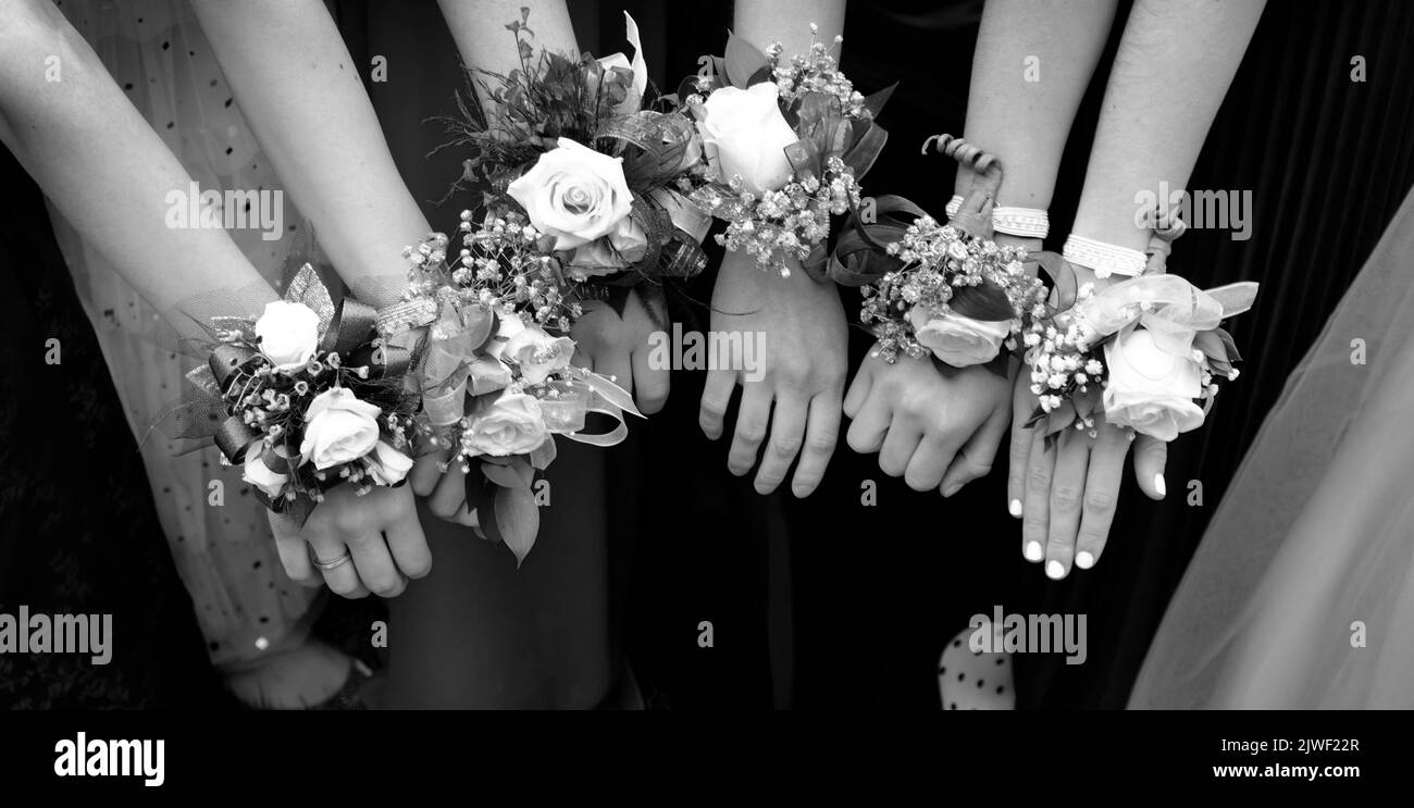 Girls with Corsage Flowers for Prom Dresses Beautiful Stock Photo - Alamy