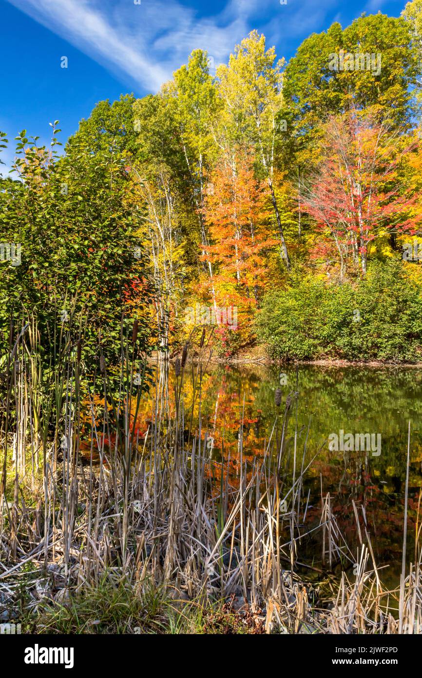 Mirror reflection on water of an autumn landscape Stock Photo - Alamy