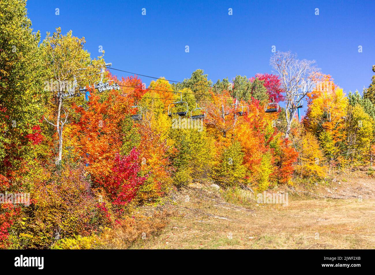 Ski walk mode hi-res stock photography and images - Alamy