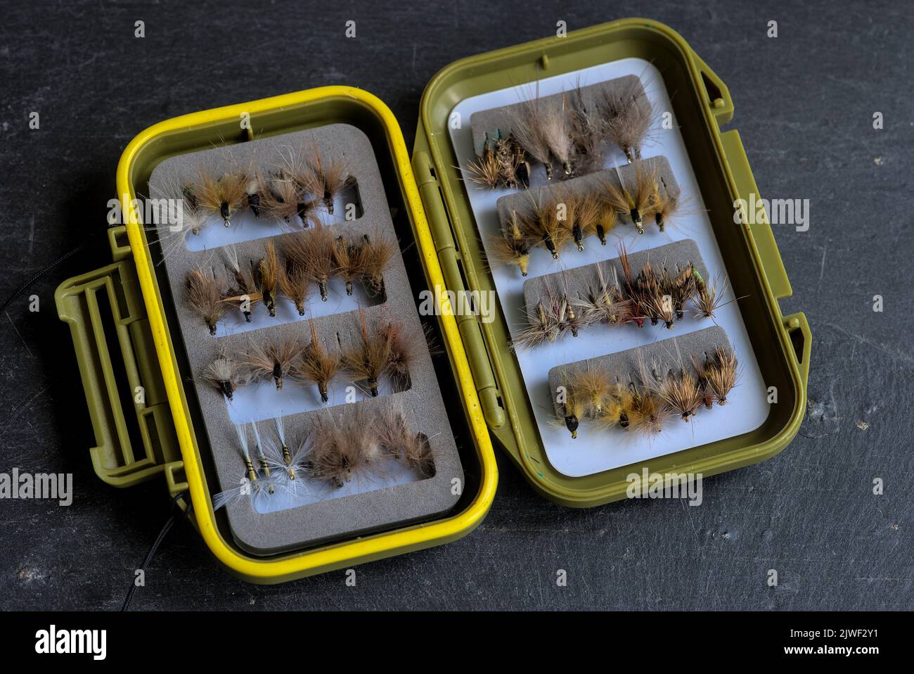 Fly Fishing Trout Box at Zoe Oatley blog
