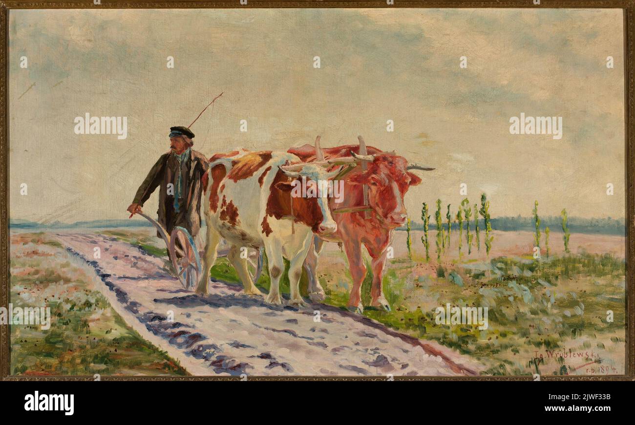 Oxen in the rig. Wróblewski, Ignacy (1858-1953), painter Stock Photo ...