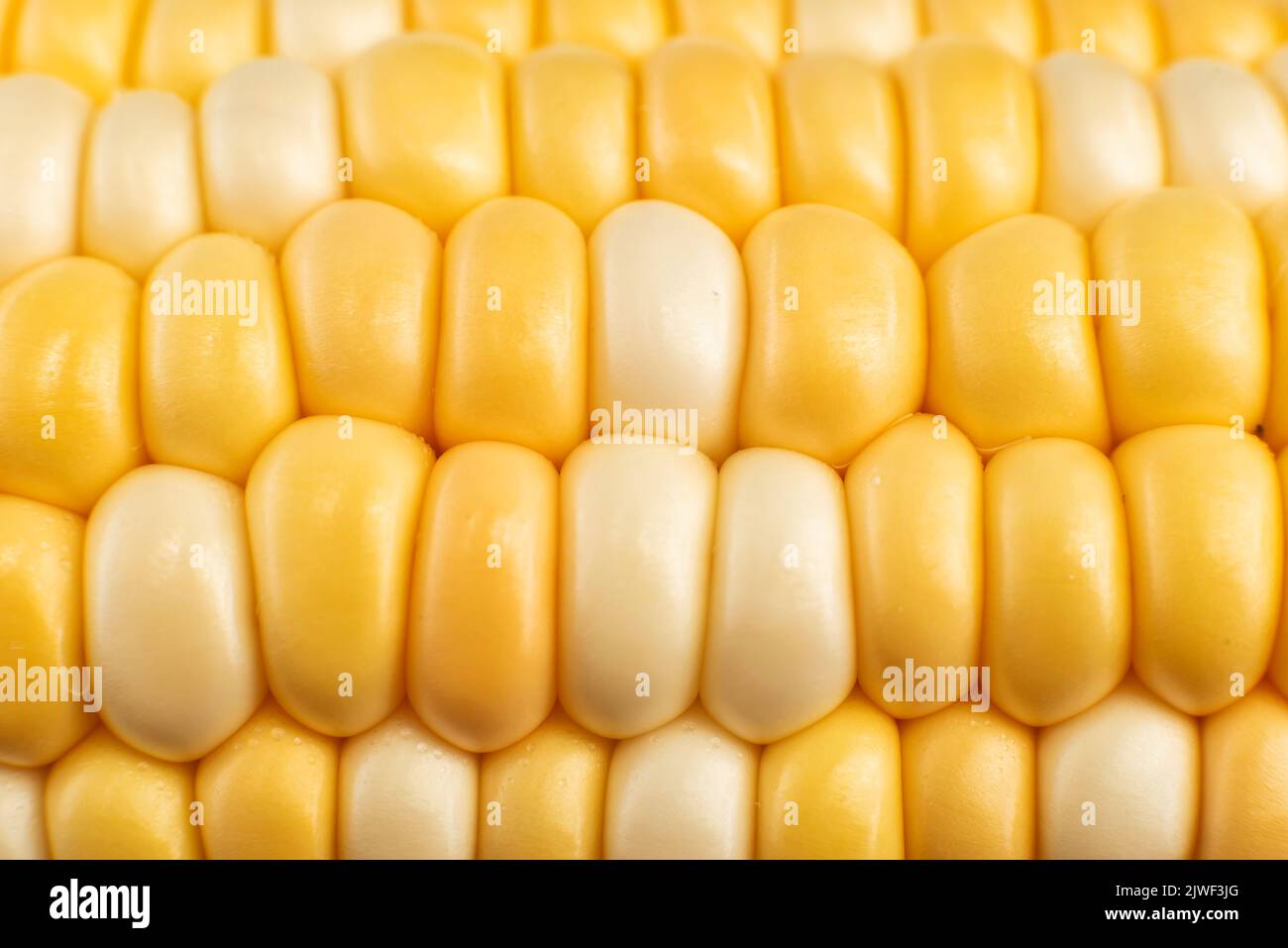 Texture from yellow grains of corn close-up. Corn background Stock ...