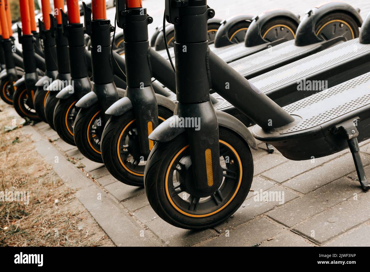 Electric scooter. Ecological transport. Many electric scooters stand in ...