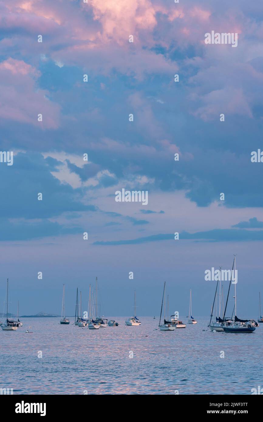 Beverly Harbor Overlook Pink & Blue Clouds Moored Sailboats Pink ...