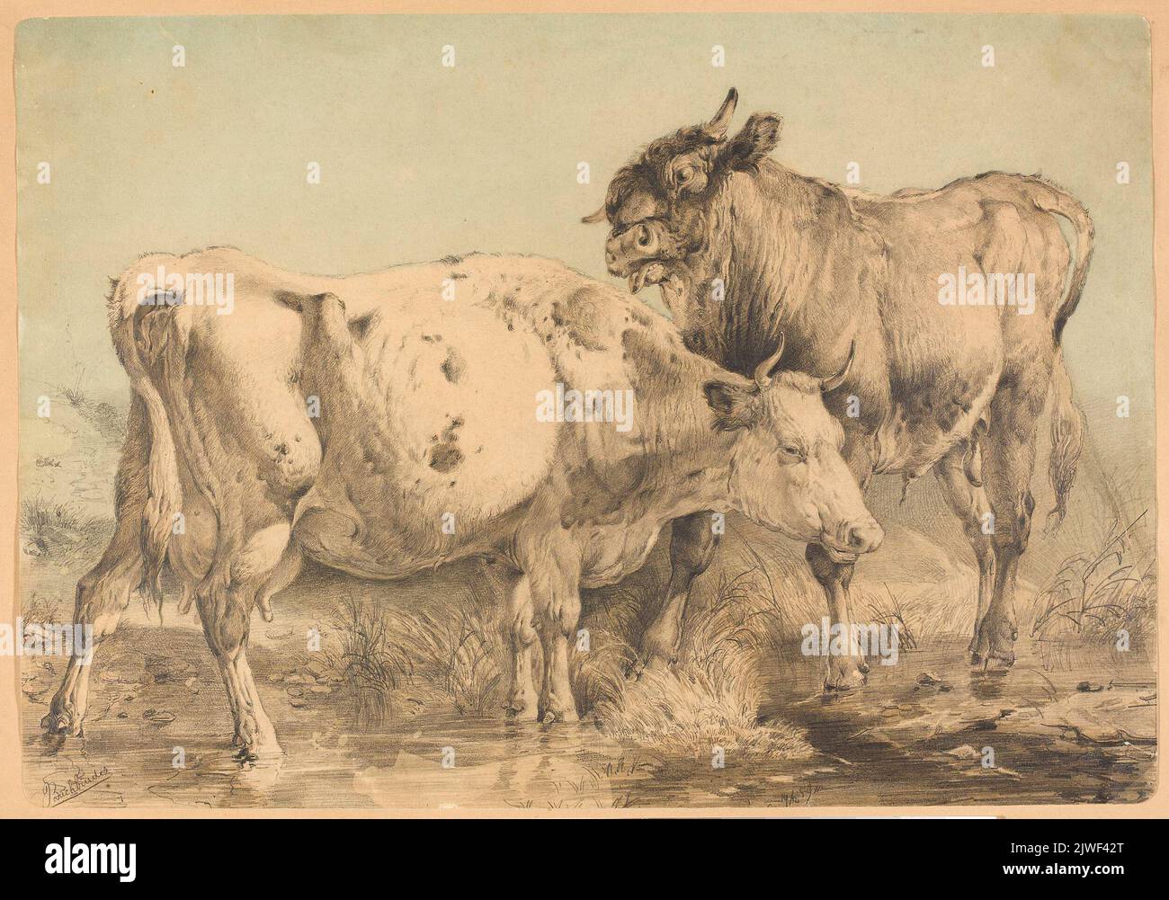 Cow and bull by a watering place, tracing from a print. Buchbinder ...