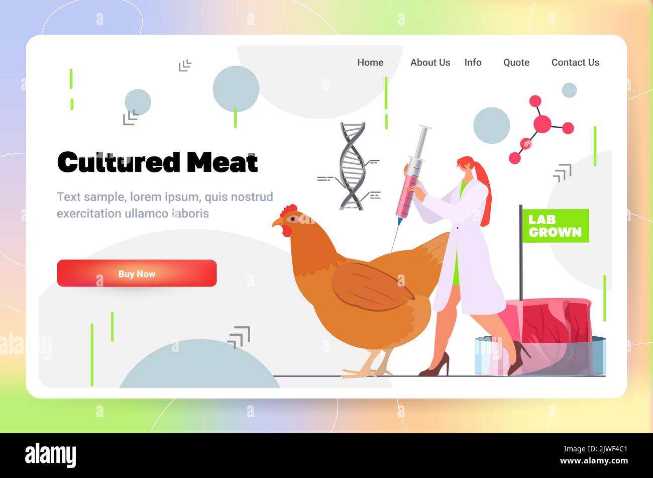 scientist with syringe inspecting chicken meat sample in laboratory ...