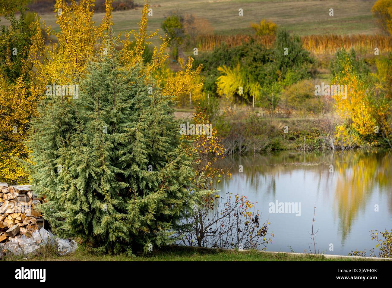 Golden magic autumn forest with colorful fall trees. Romantic lake ...