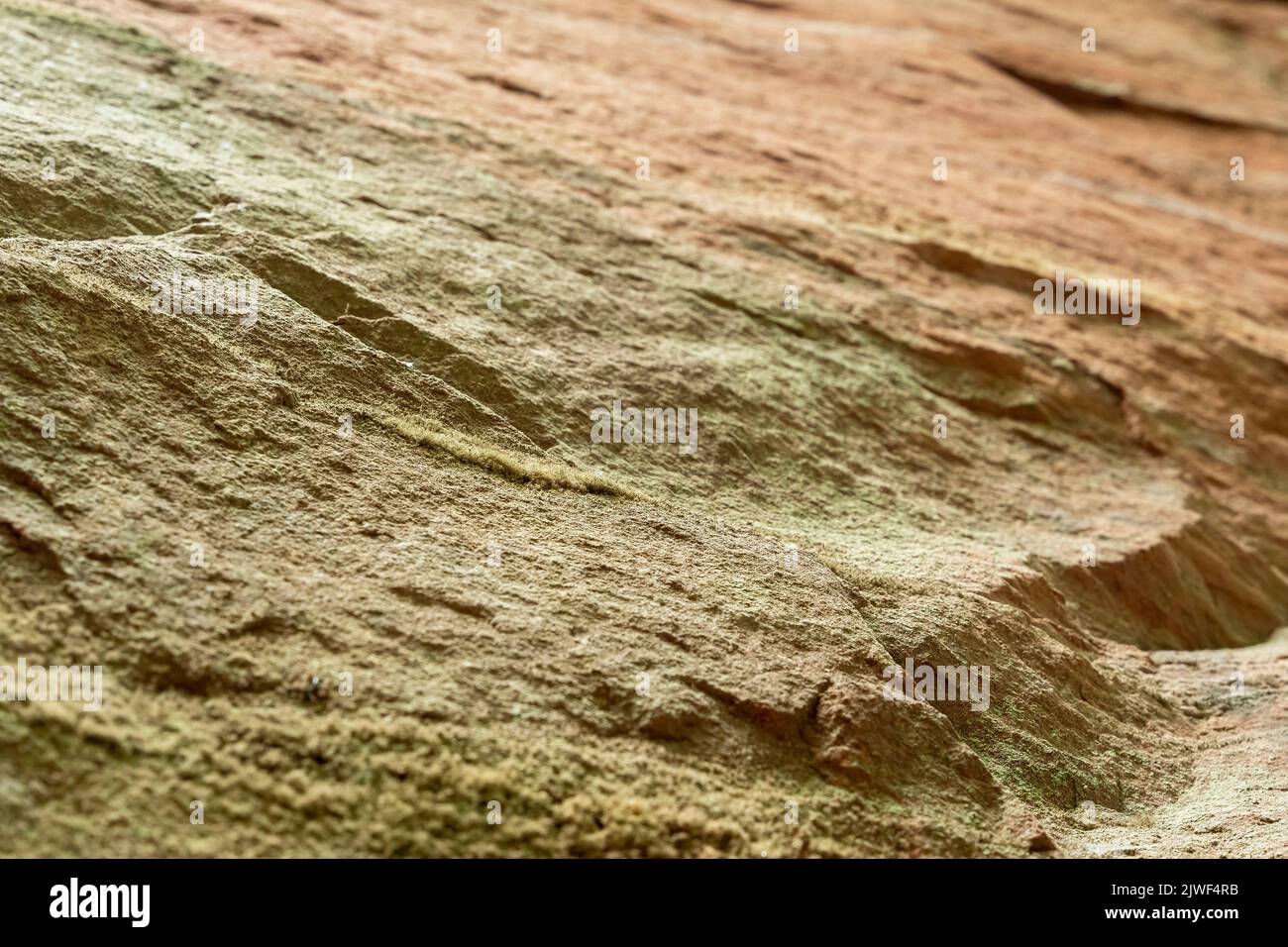 textured solid yellow-brown sandy surface. Background. Marble Texture ...