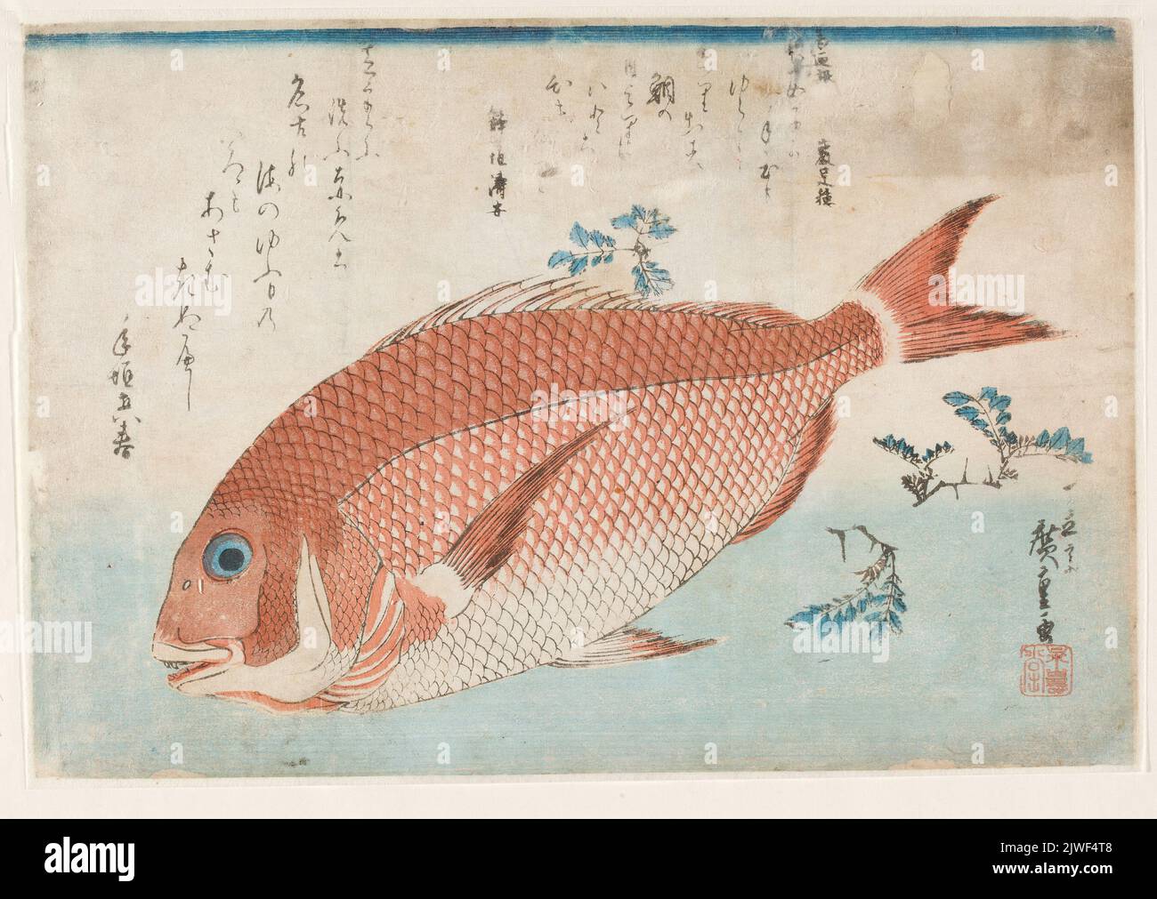 Seabream (tai) and Japanese pepper leaves (sansho); print from the ...