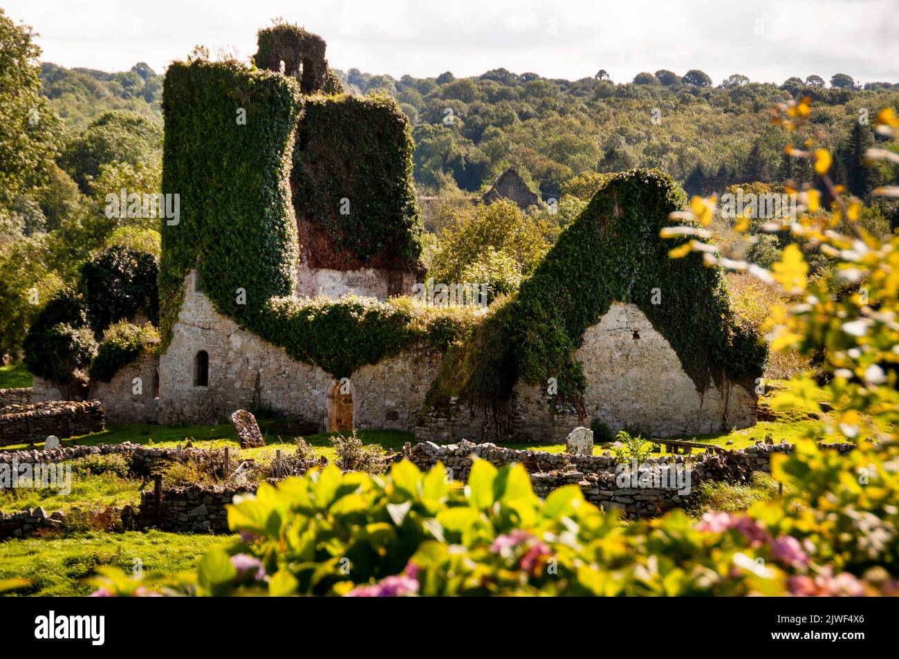 Ruins of Saint Nicholas Church in the12th Century lost medieval town of ...