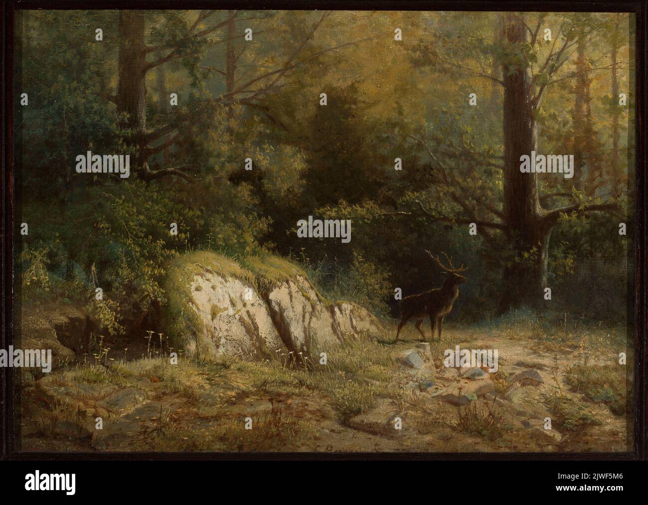 Forest landscape with a deer. Brzozowski, Feliks (1836-1892), painter ...