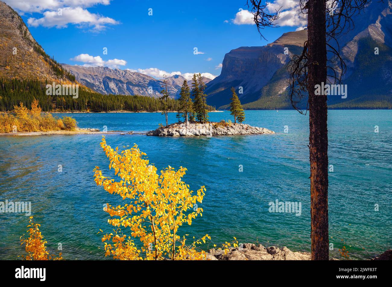 Small island with trees on Lake Minnewanka in Banff National Park ...