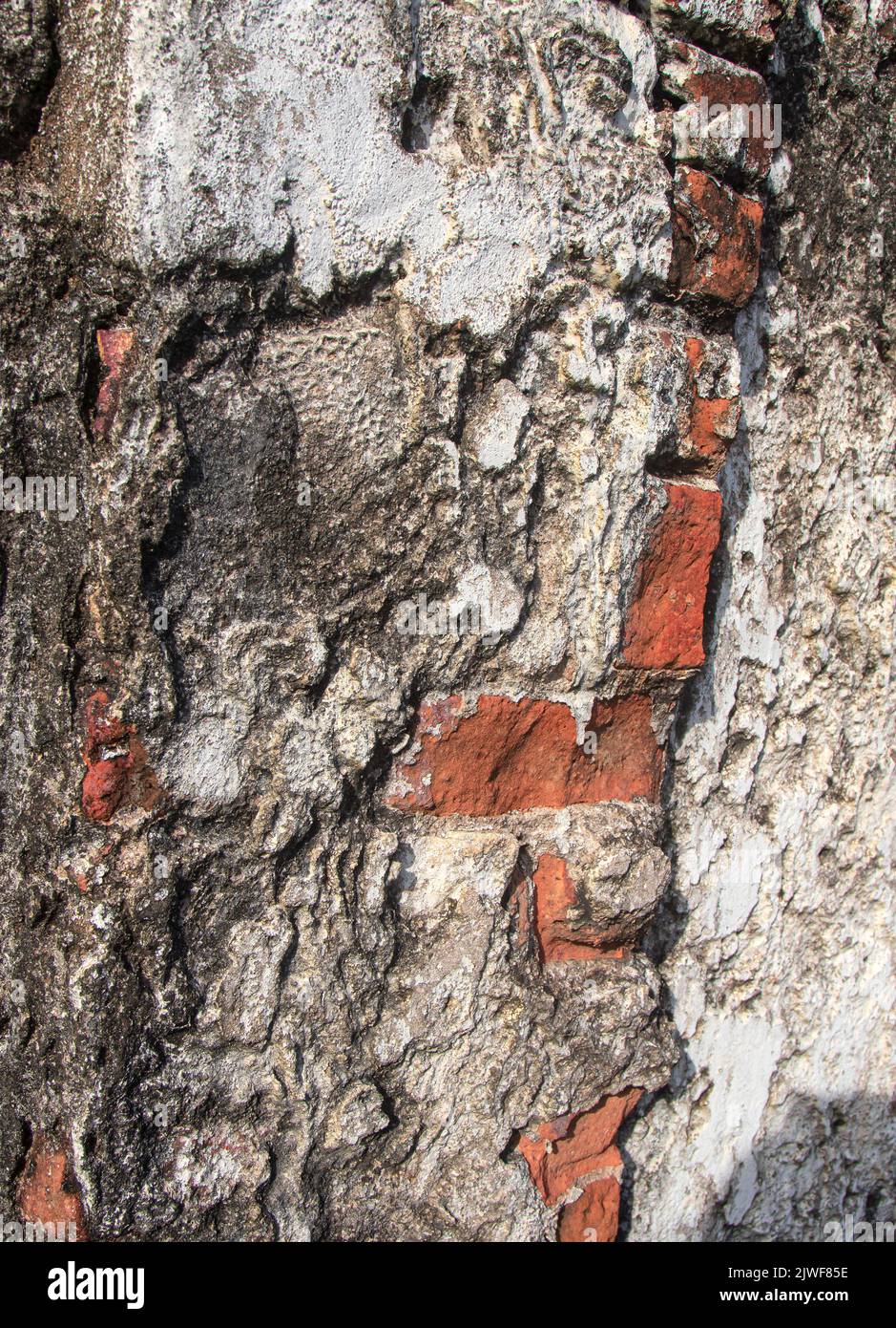 Rugged, rust, red, white cemented, brick wall from Galle Fort Sri Lanka ...