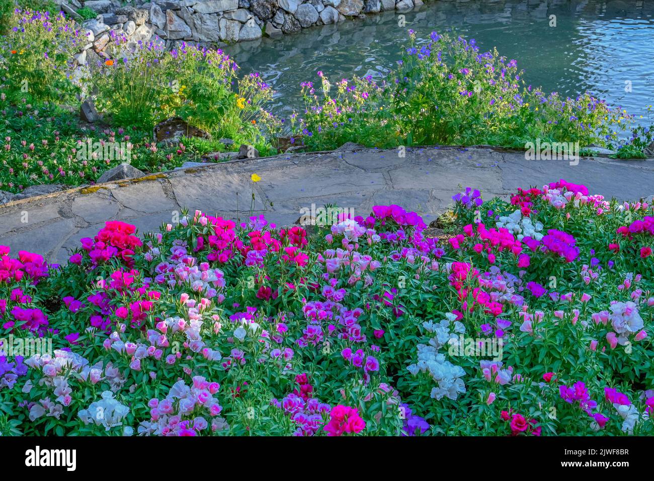 Cascade Gardens, Banff,, Banff National Park, Alberta, Canada Stock ...