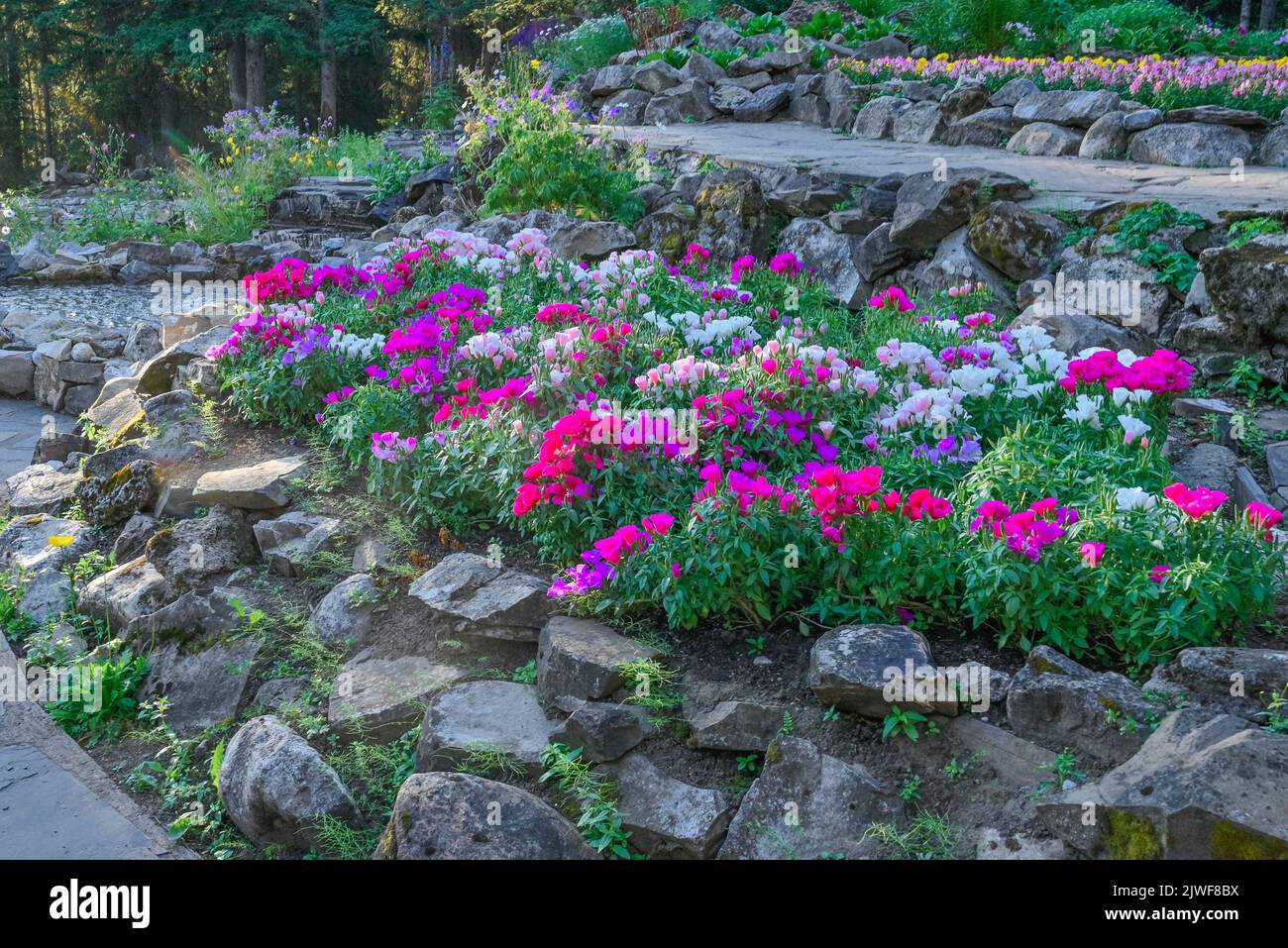 Cascade gardens banff national park hi-res stock photography and images ...