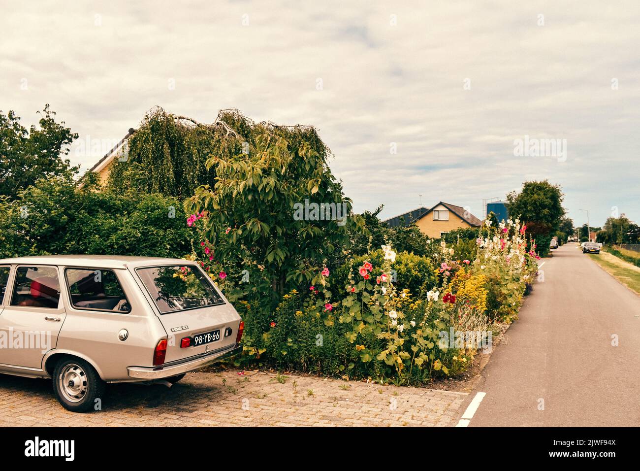 Discover the serene beauty of De Lier, Netherlands Stock Photo - Alamy