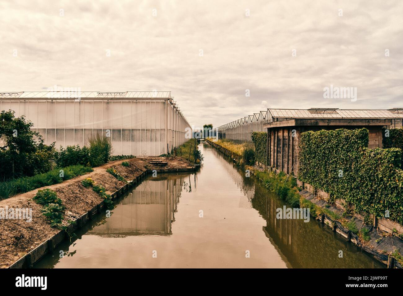 Discover the serene beauty of De Lier, Netherlands Stock Photo - Alamy