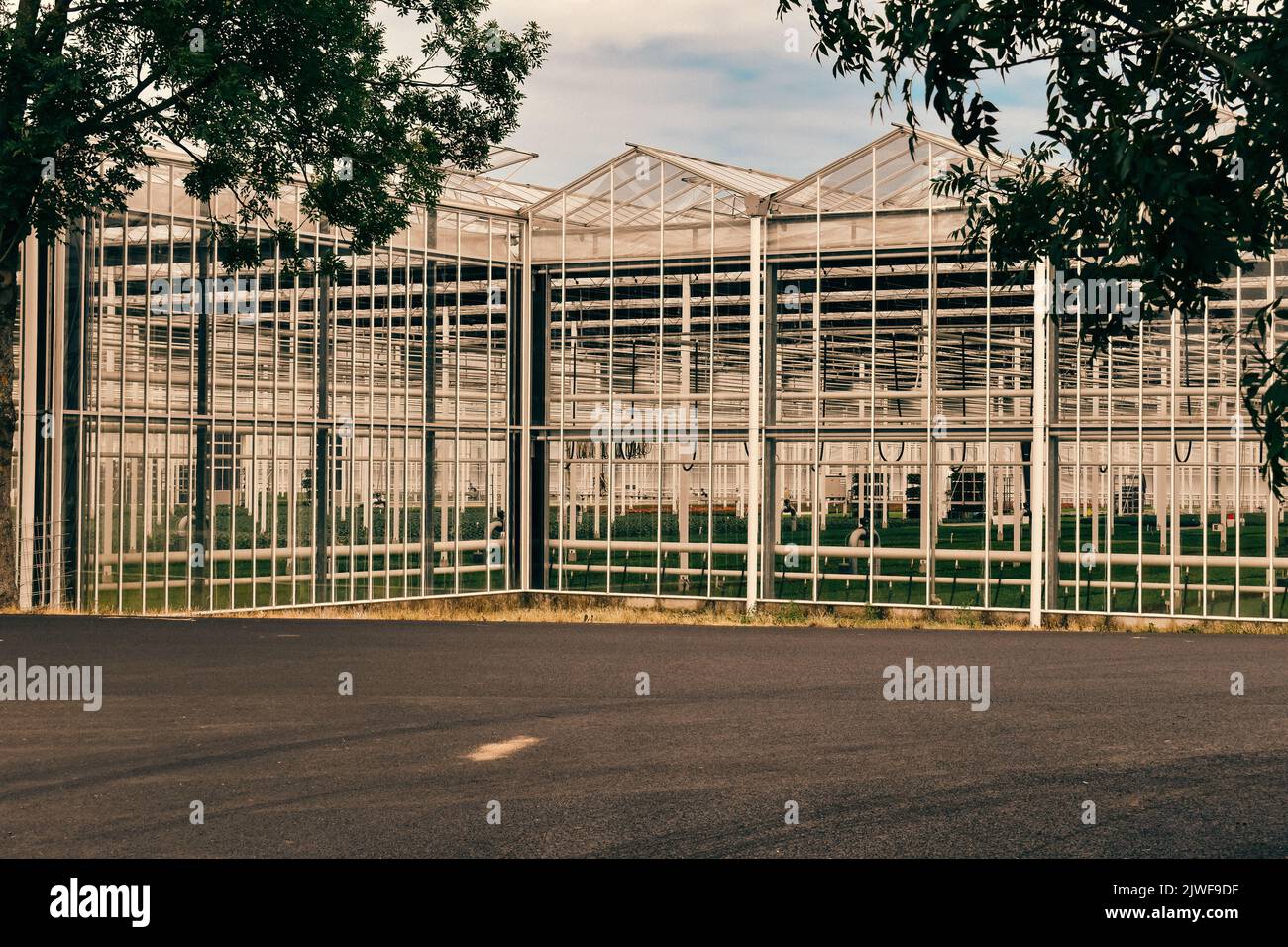 Discover the serene beauty of De Lier, Netherlands Stock Photo - Alamy