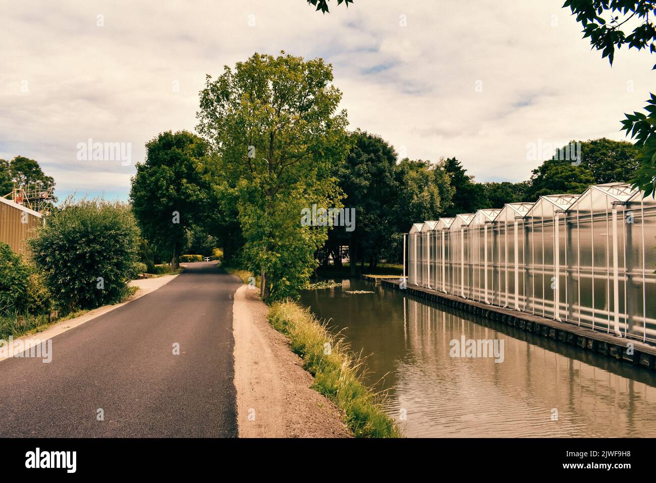 Discover the serene beauty of De Lier, Netherlands Stock Photo - Alamy