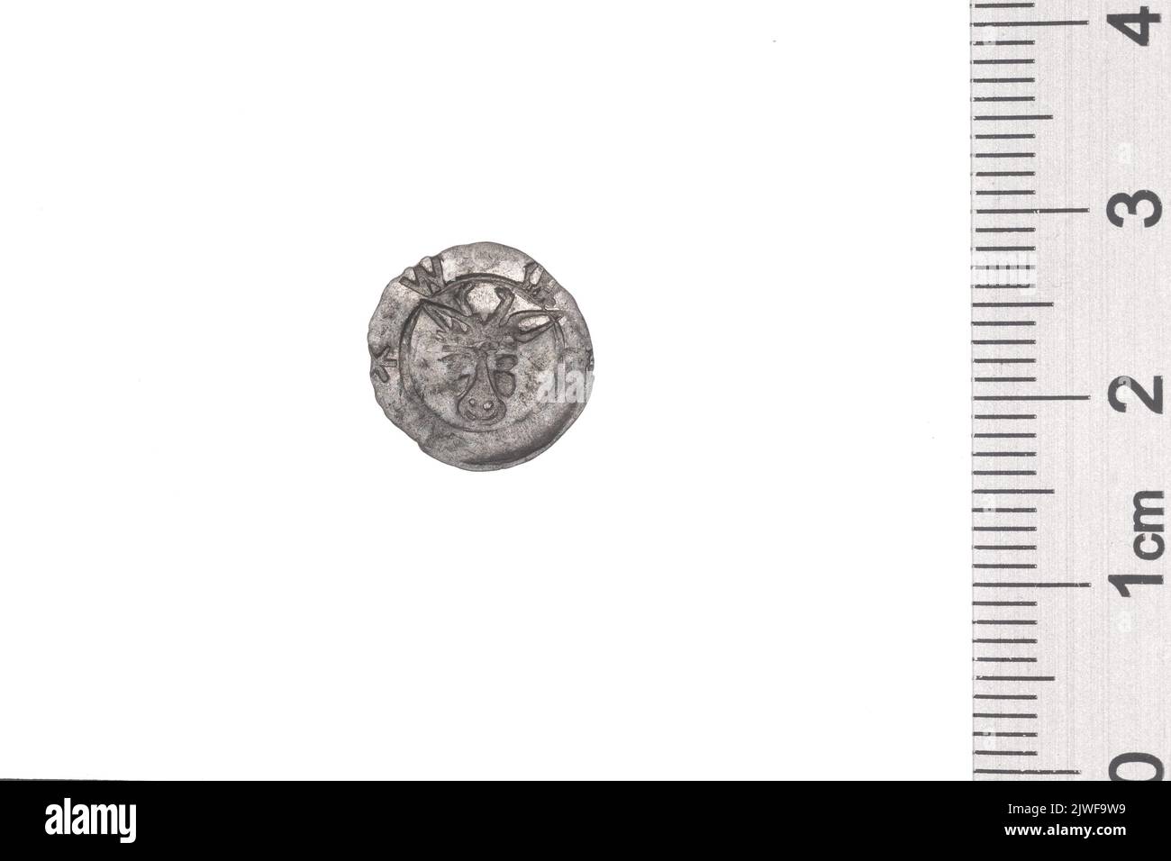 Buffalo head coat of arms of moldova hi-res stock photography and ...