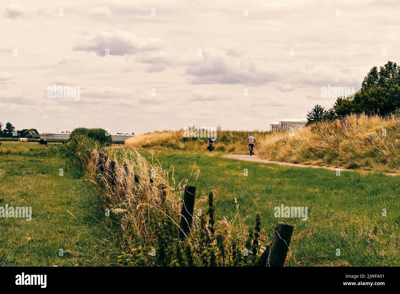 Discover the serene beauty of De Lier, Netherlands Stock Photo - Alamy