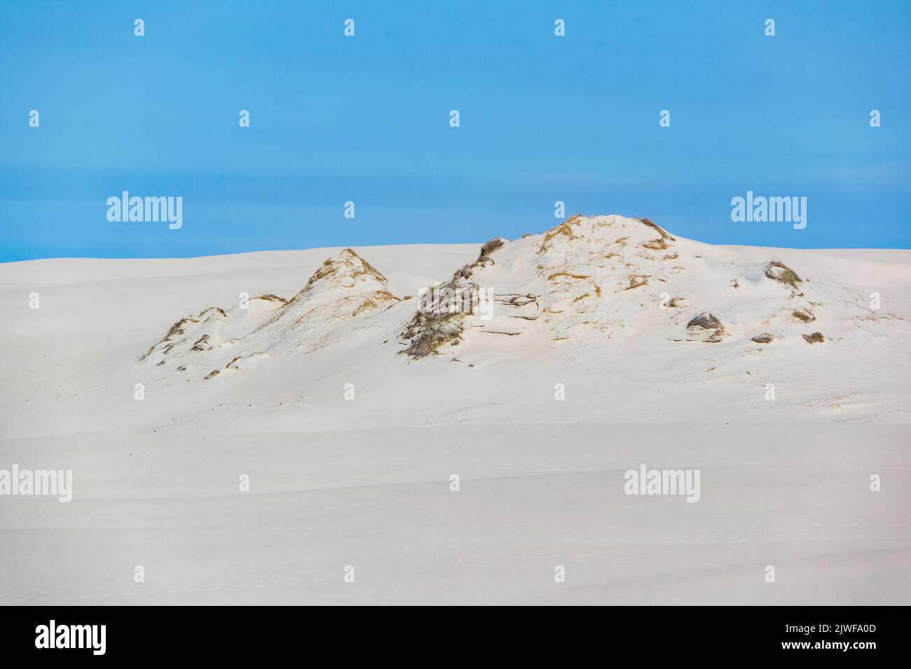 Leba sand desert and dunes in Poland, EU Stock Photo - Alamy