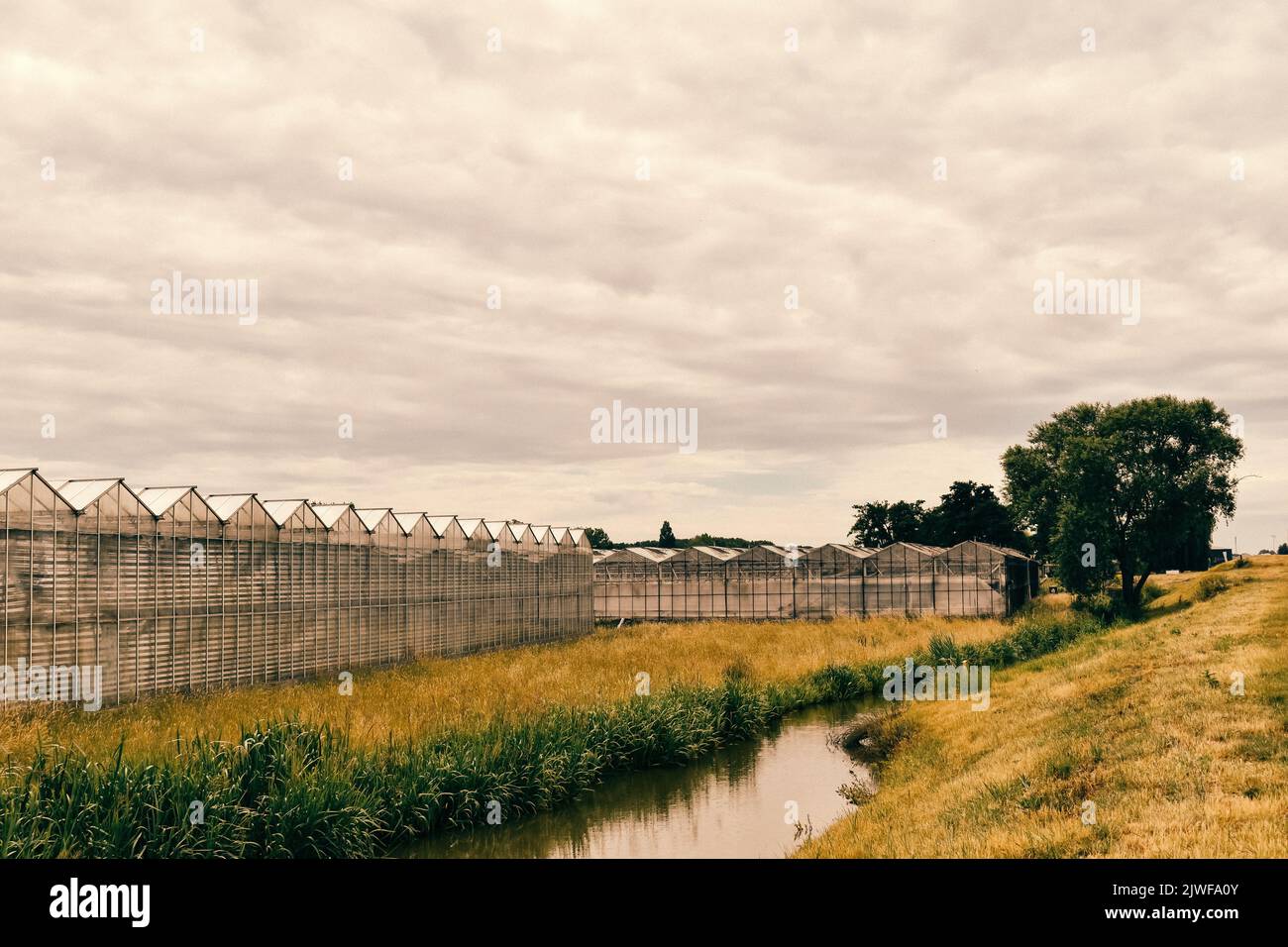 Discover the serene beauty of De Lier, Netherlands Stock Photo - Alamy