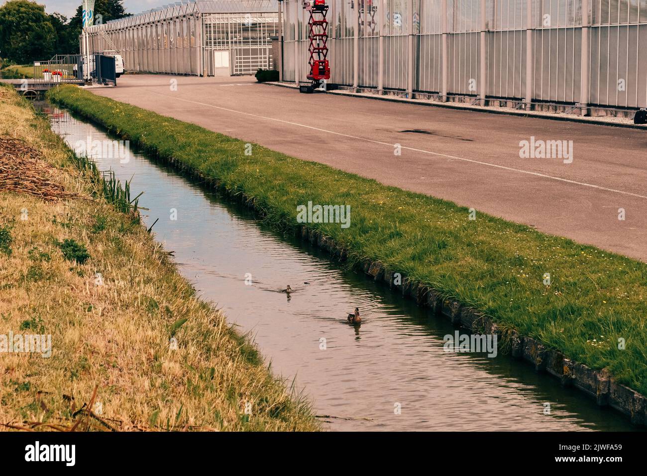 Discover the serene beauty of De Lier, Netherlands Stock Photo - Alamy