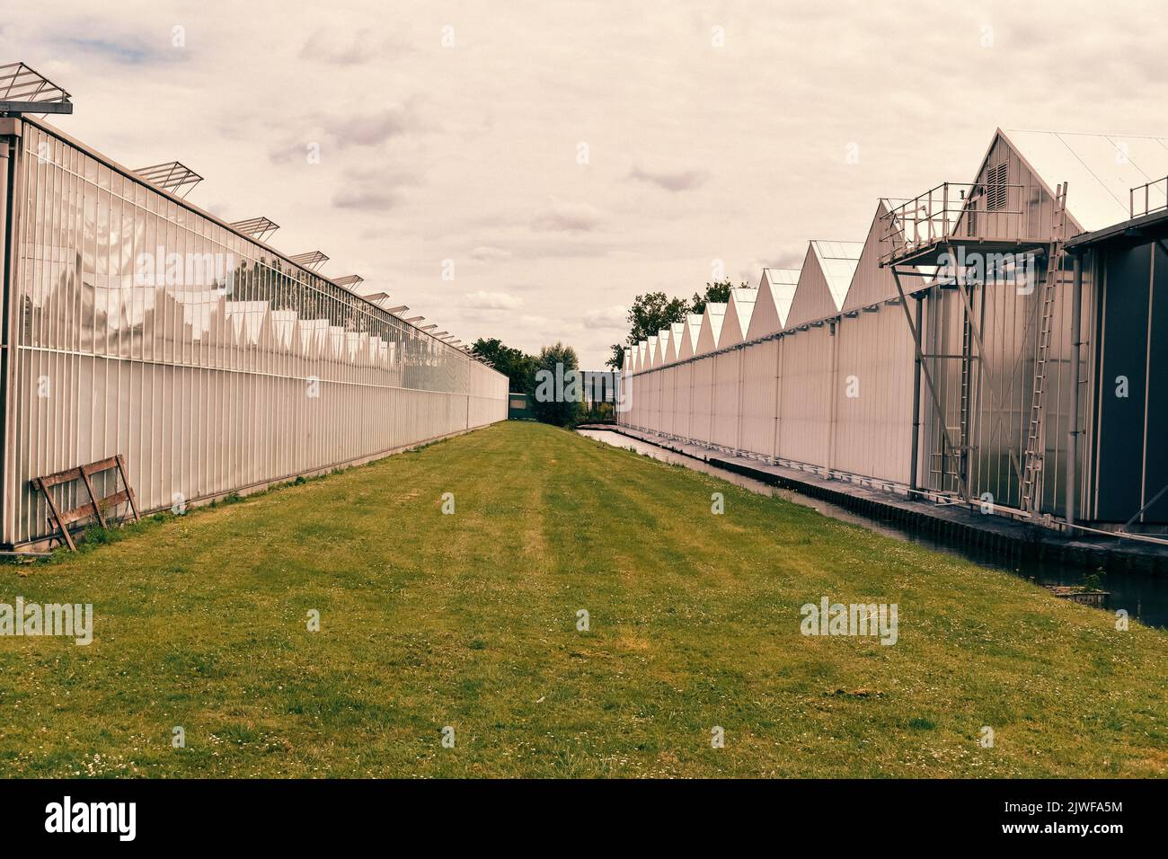 Discover the serene beauty of De Lier, Netherlands Stock Photo - Alamy