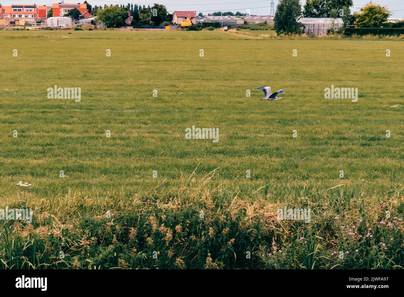 Living in a Quite Town, De Lier, June 2019 Stock Photo - Alamy