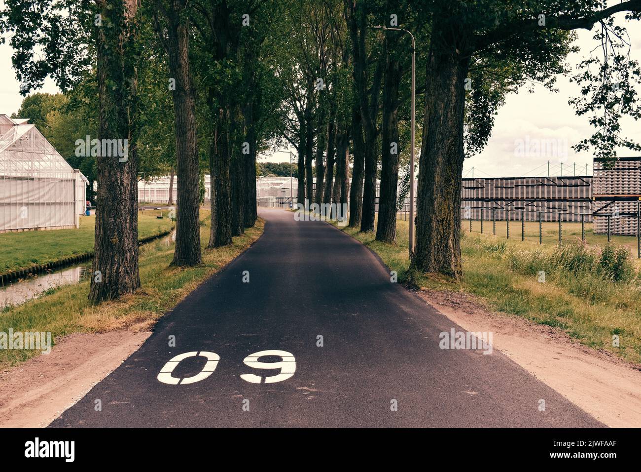 Discover the serene beauty of De Lier, Netherlands Stock Photo - Alamy