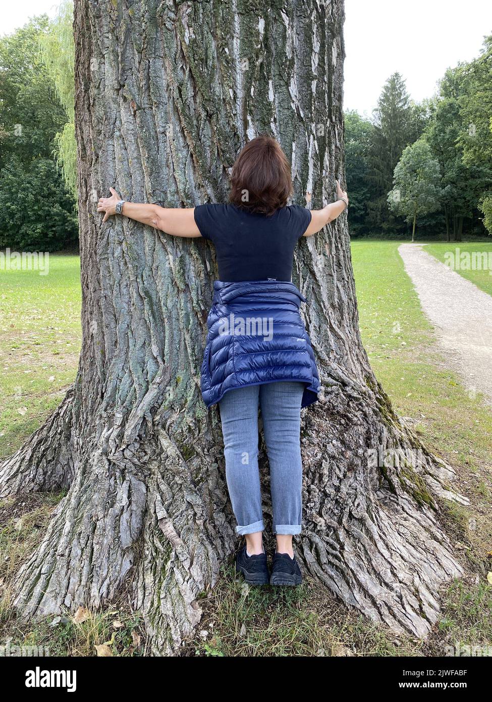 Stress senken hi-res stock photography and images - Alamy