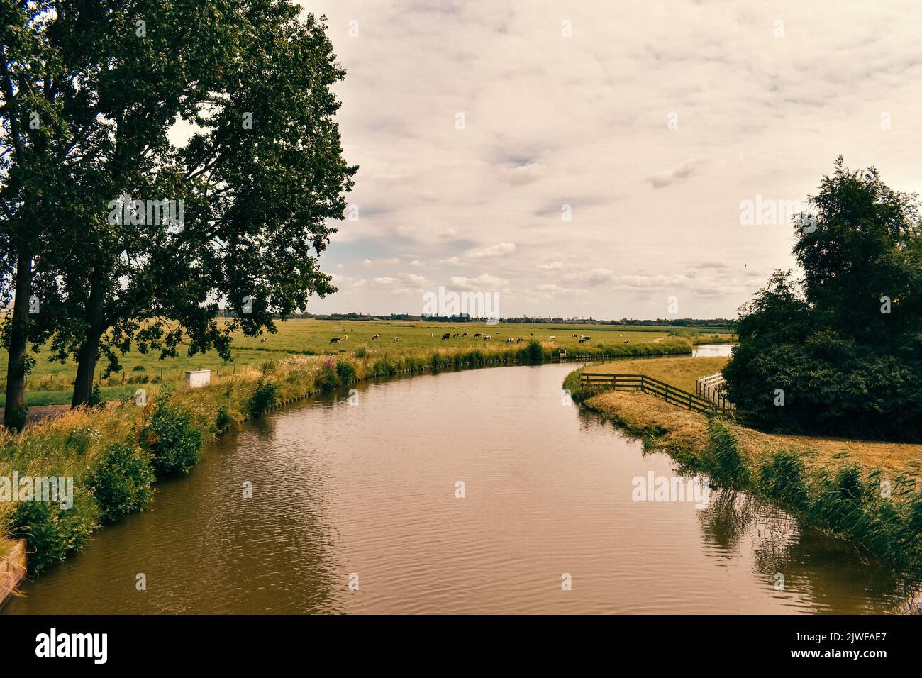 Discover the serene beauty of De Lier, Netherlands Stock Photo - Alamy