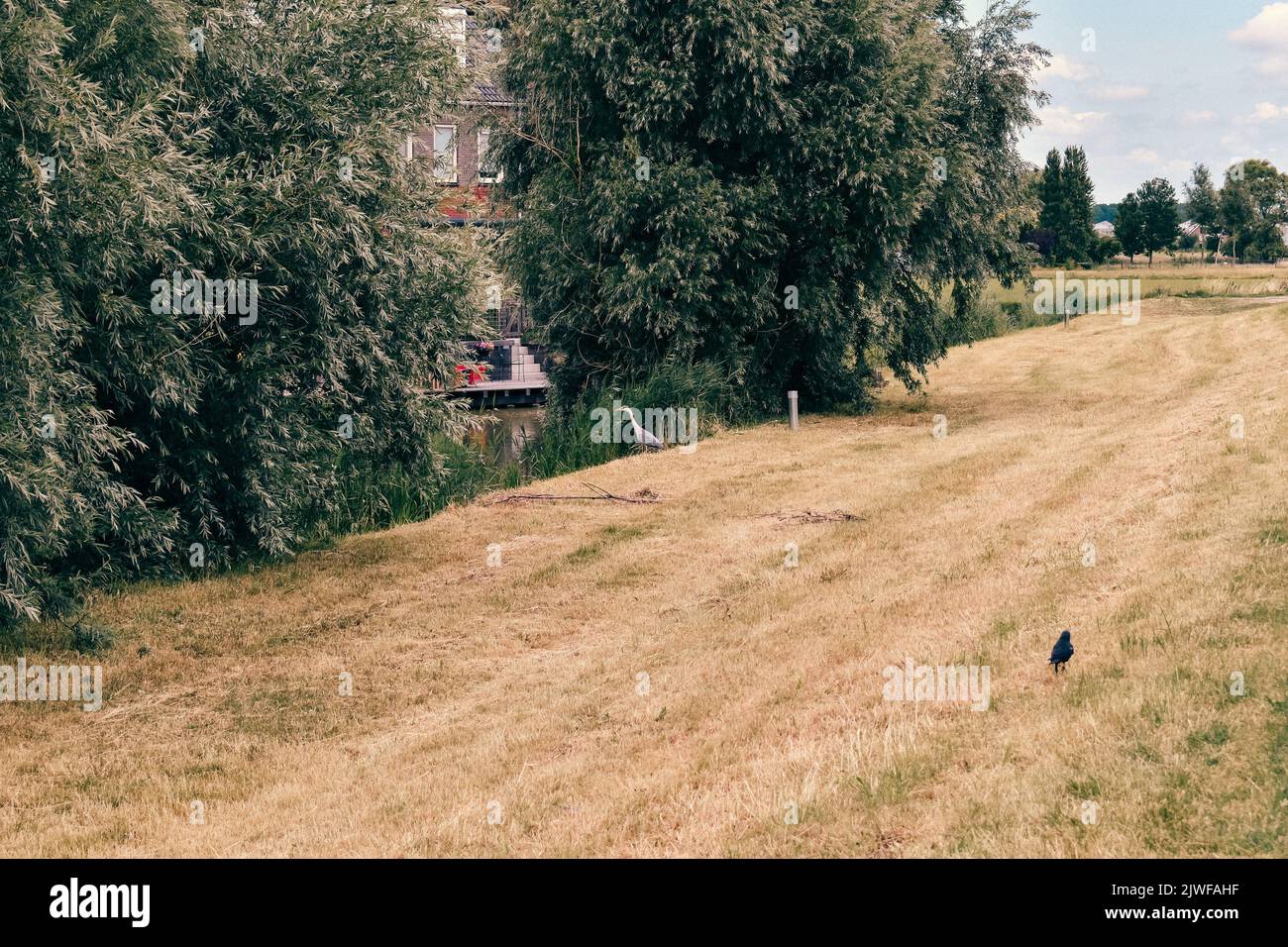 Discover the serene beauty of De Lier, Netherlands Stock Photo - Alamy