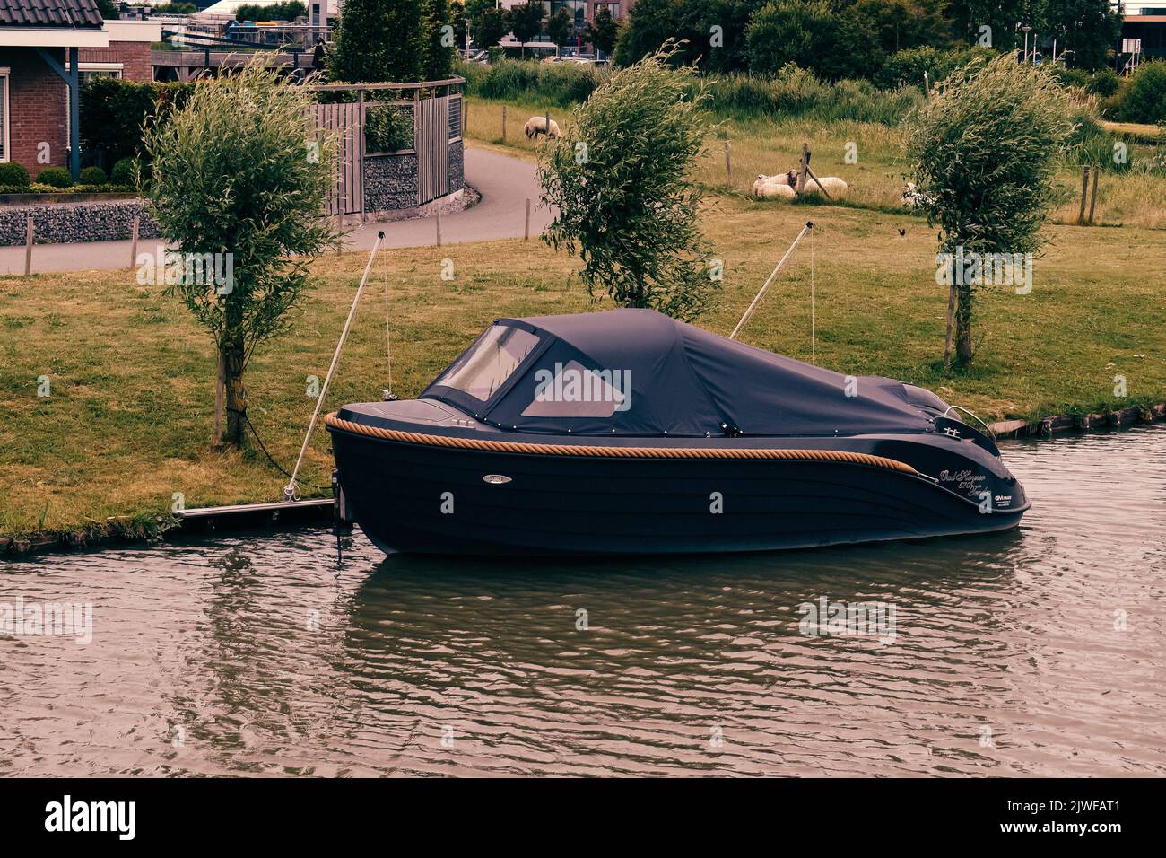 Living in a Quite Town, De Lier, June 2019 Stock Photo - Alamy