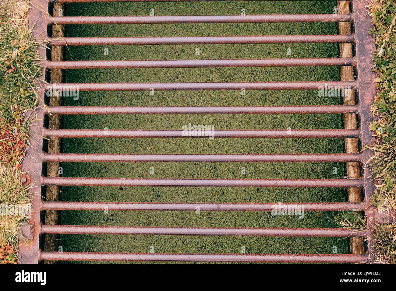 Discover the serene beauty of De Lier, Netherlands Stock Photo - Alamy