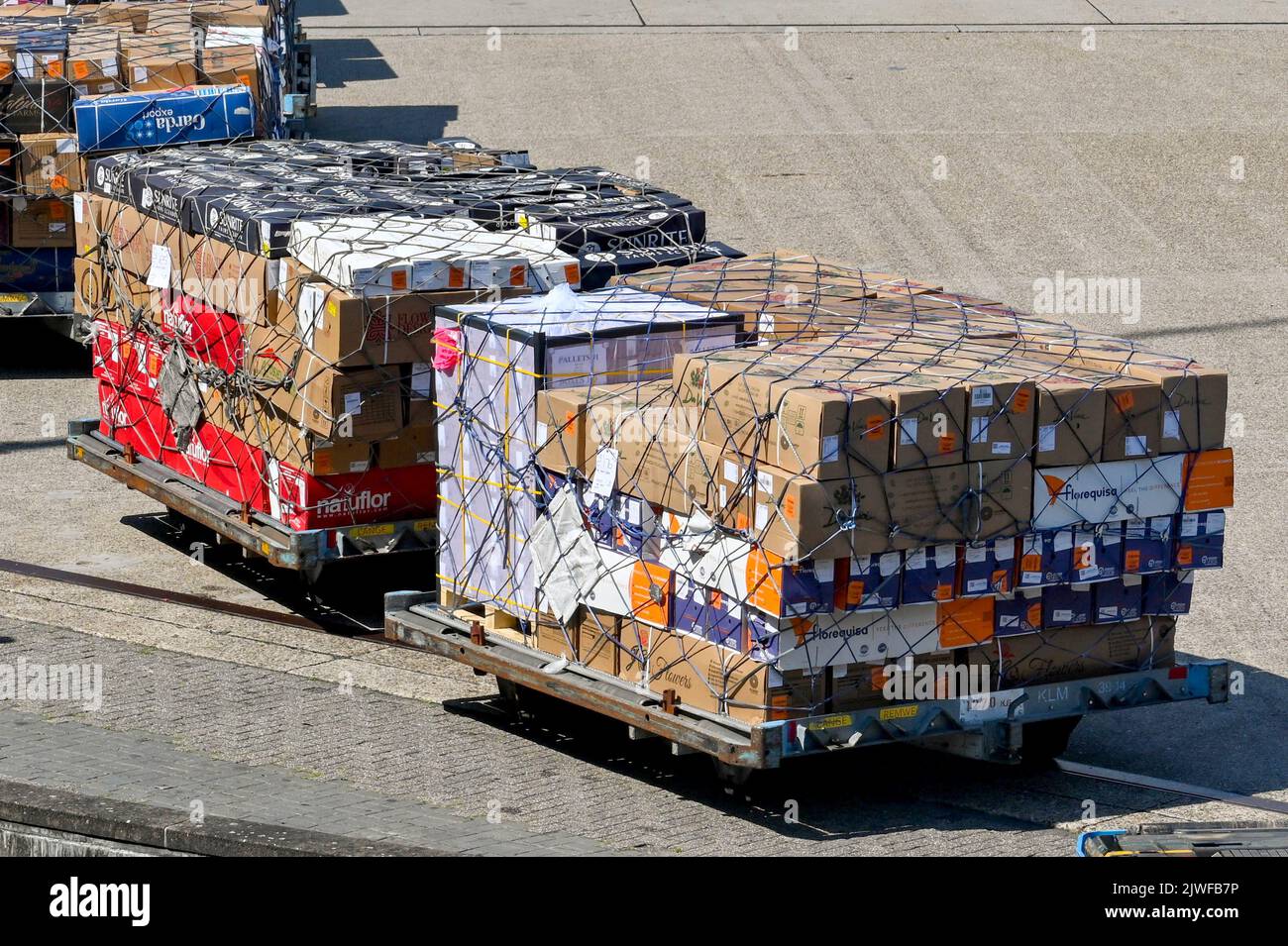 Amsterdam, Netherlands - August 2022: Cardboard boxes on pallets and ...