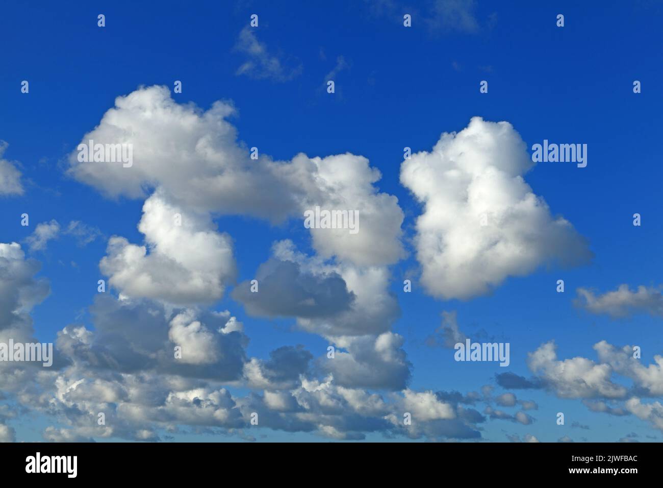 White cumulus clouds, grey clouds, blue sky, cloud, skies, meteorology ...