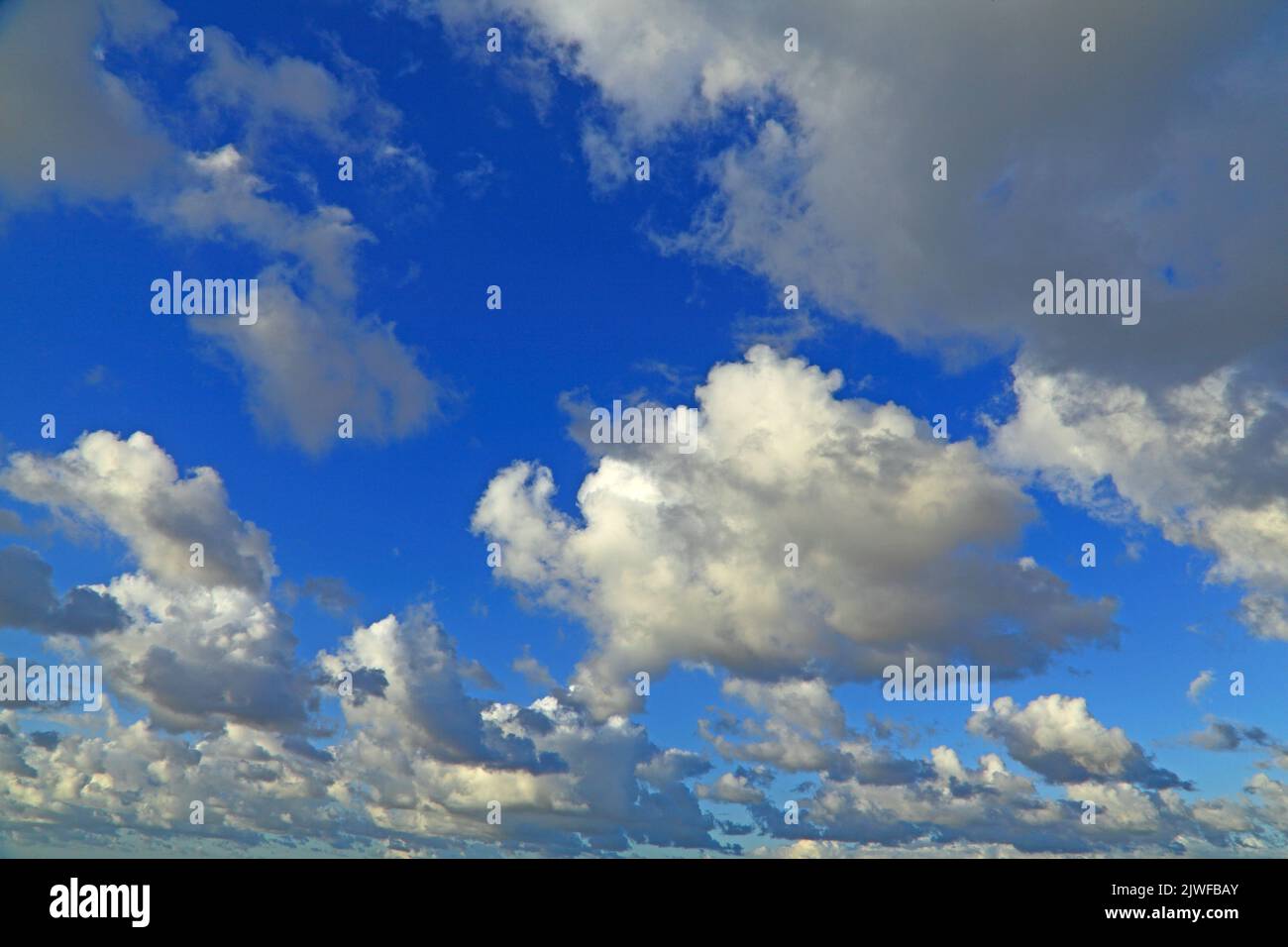White, grey, dark, cumulus cloud, clouds, blue sky, skies, weather ...