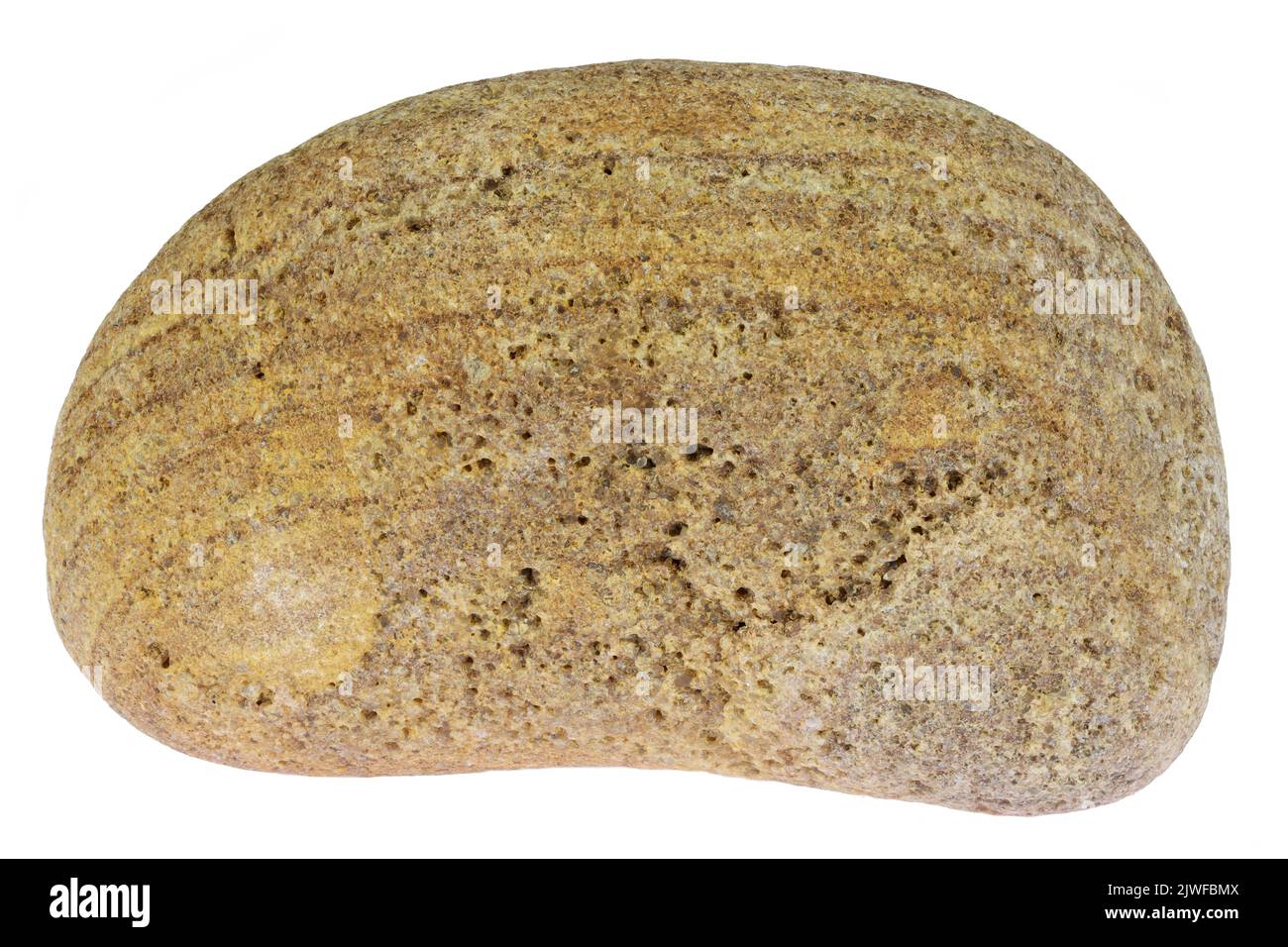 sandstone from the Baltic Sea coast in Waabs, Germany isolated on white ...