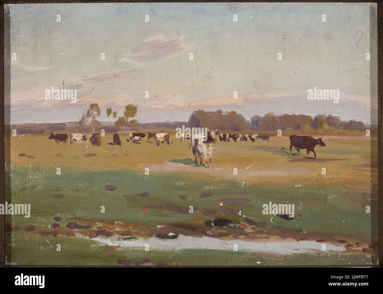 Teodor ziomek hi-res stock photography and images - Alamy