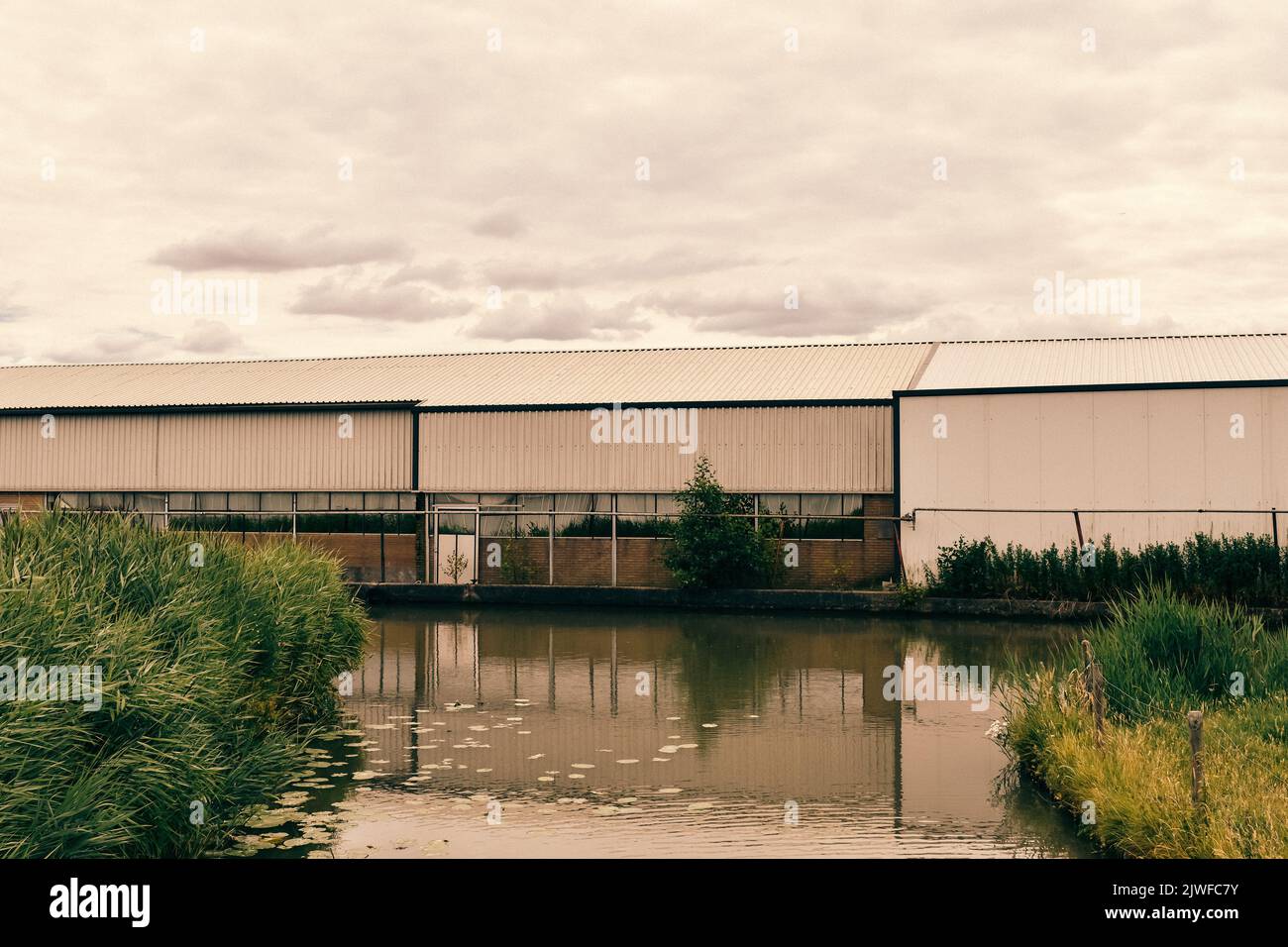 Discover the serene beauty of De Lier, Netherlands Stock Photo - Alamy