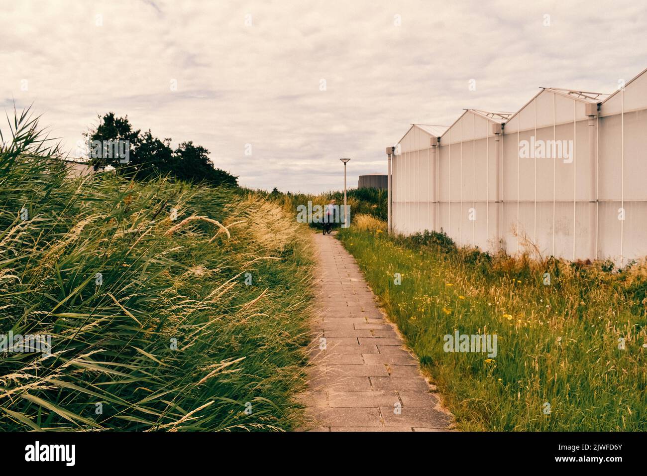 Discover the serene beauty of De Lier, Netherlands Stock Photo - Alamy