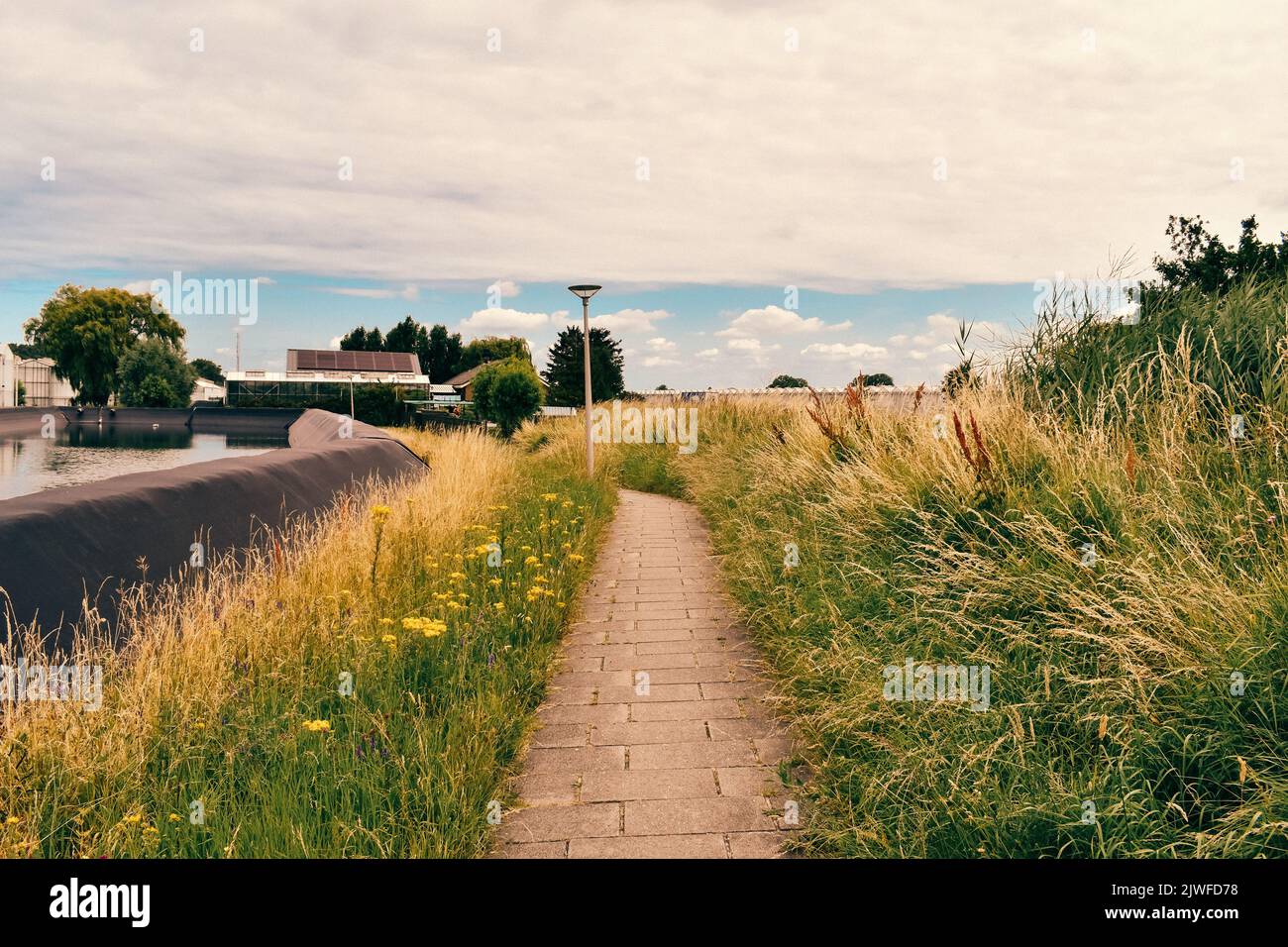 Discover the serene beauty of De Lier, Netherlands Stock Photo - Alamy