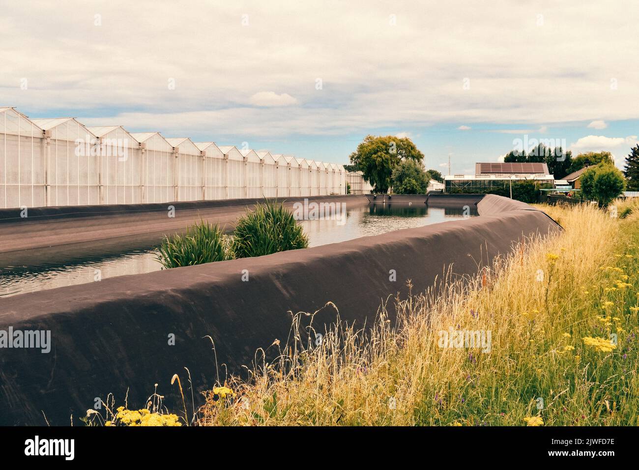 Discover the serene beauty of De Lier, Netherlands Stock Photo - Alamy